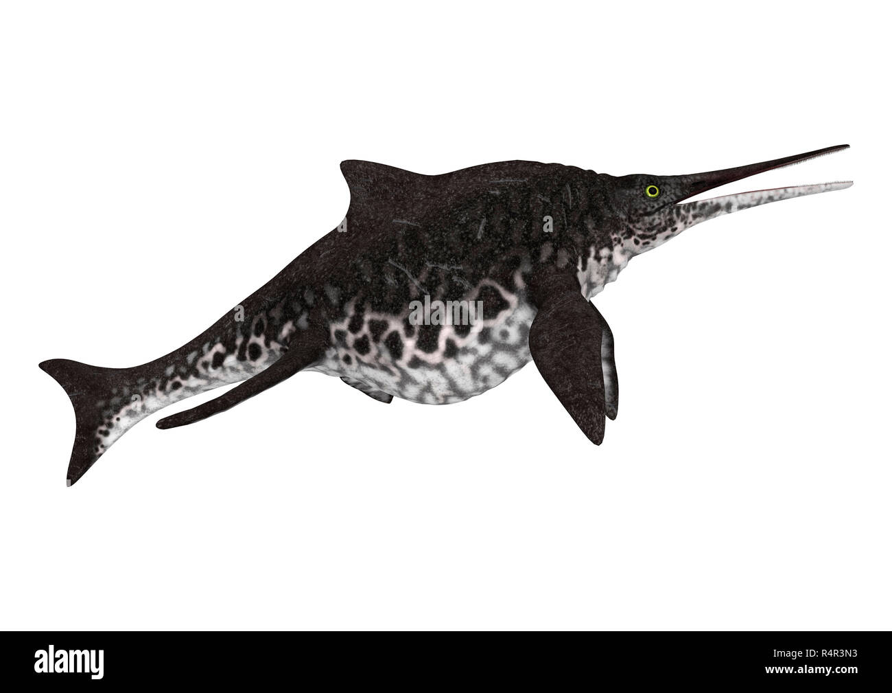 3D Rendering Ichthyosaur Shonisaurus on White Stock Photo - Alamy