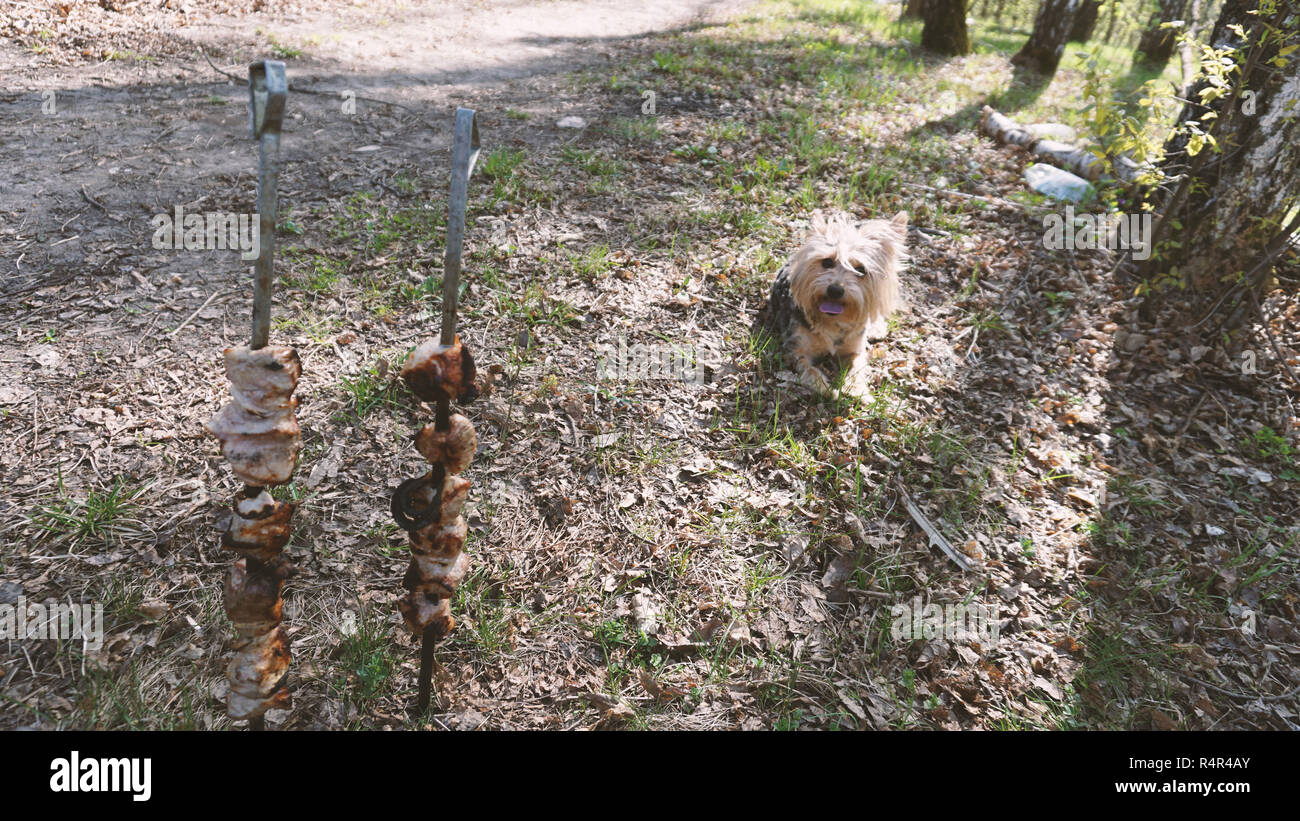 Next to kebab hi-res stock photography and images - Alamy