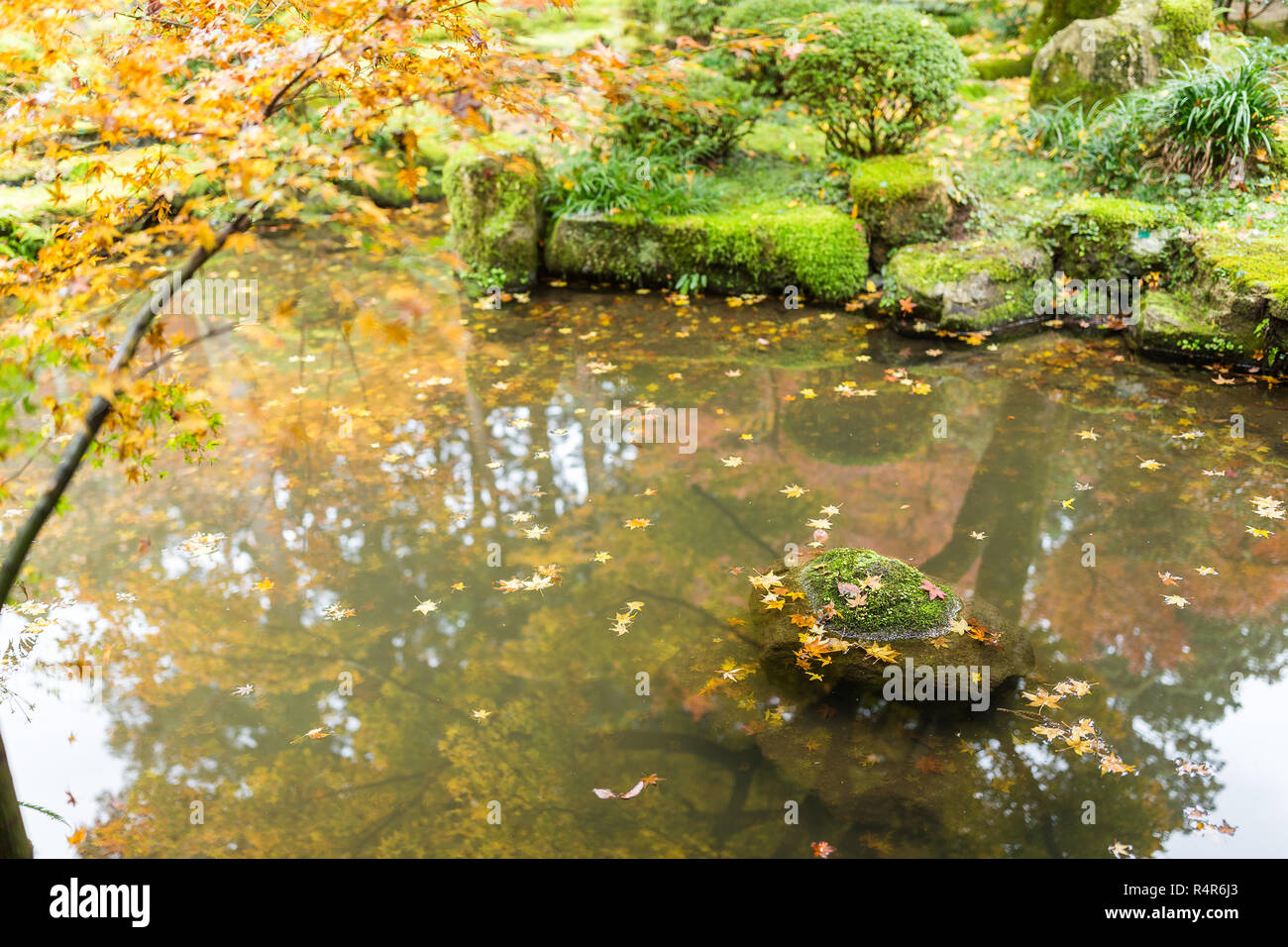 Autumn landscape in Japanese temple Stock Photo - Alamy
