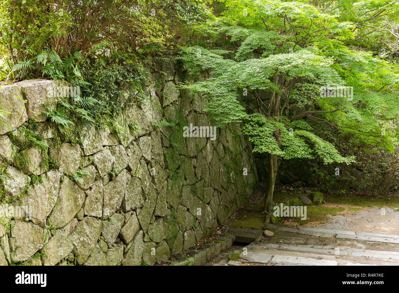 Odawara castle park hi-res stock photography and images - Alamy