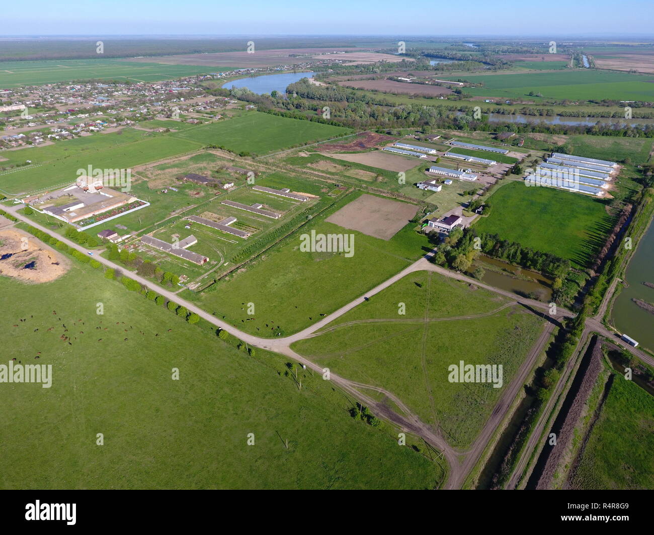 Horse belts hi-res stock photography and images - Alamy