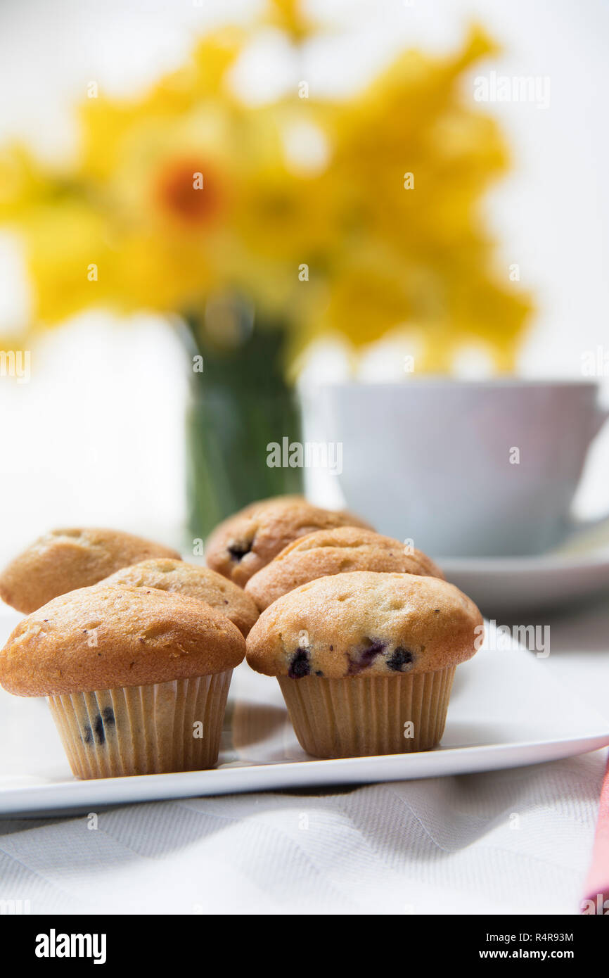 Blueberry Muffin Break Stock Photo - Alamy