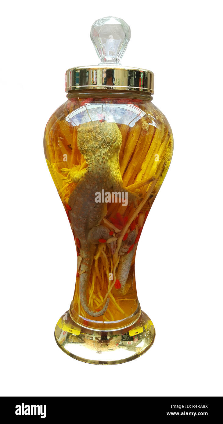 Wine of gecko in asia Stock Photo - Alamy