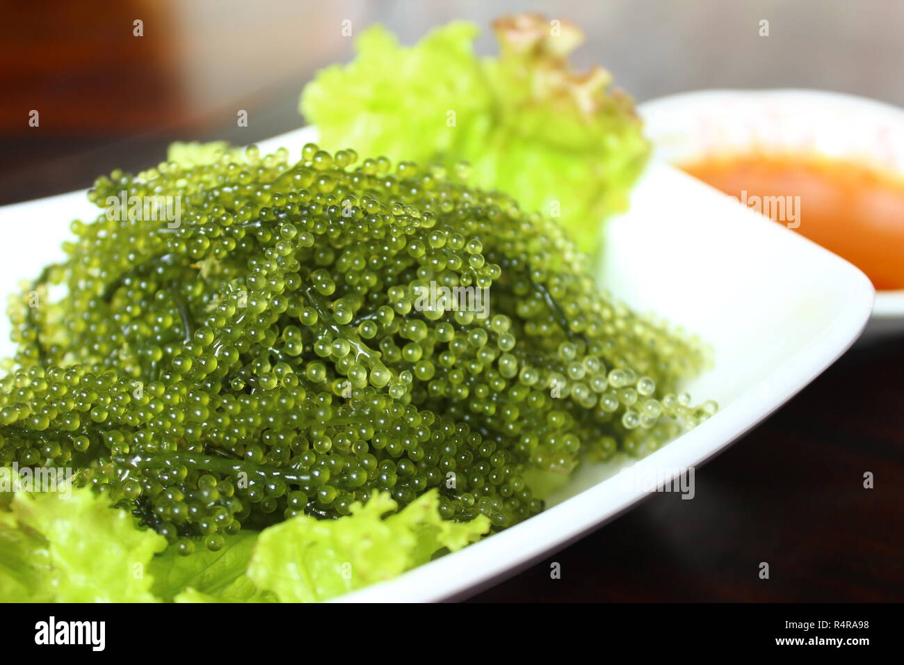 Caulerpa lentillifera hi-res stock photography and images - Alamy