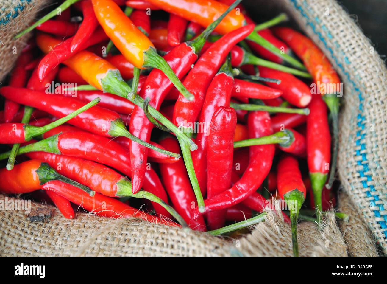 Big red chilli pepper in hi-res stock photography and images - Alamy