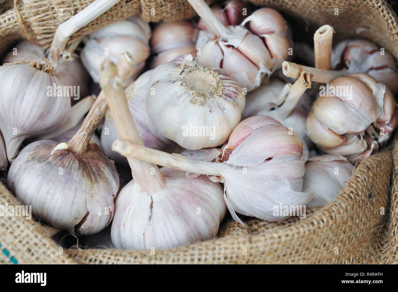 Dried whole garlic in burlap sack in asia Stock Photo - Alamy