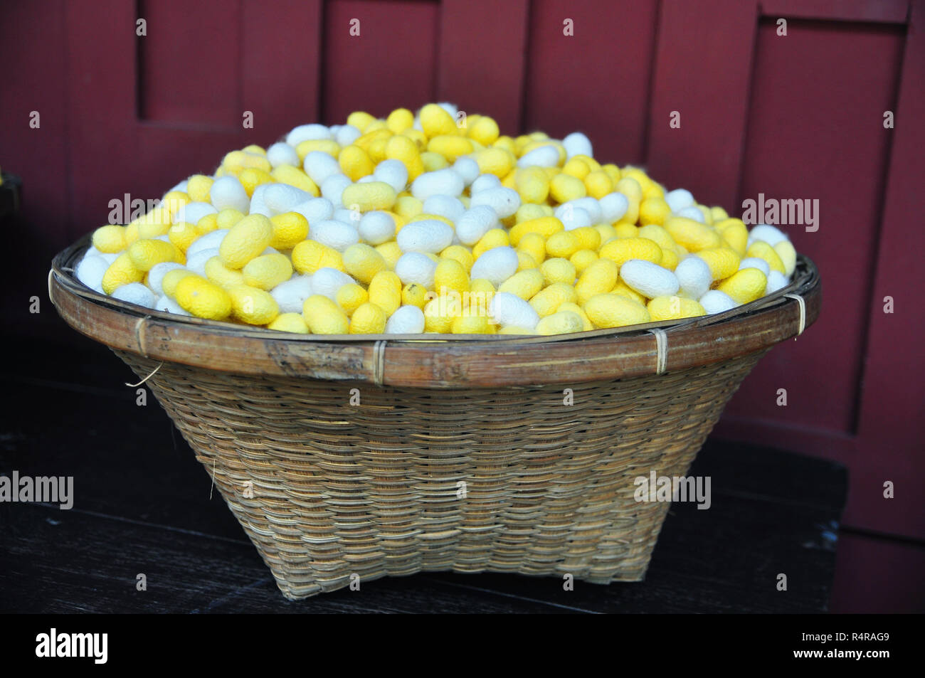 Sericulture process making silk hi-res stock photography and images - Alamy