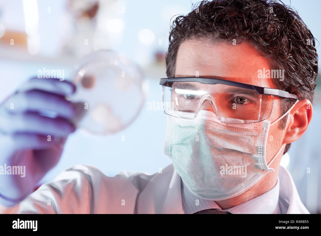Life science researcher observing cells in petri dish Stock Photo - Alamy