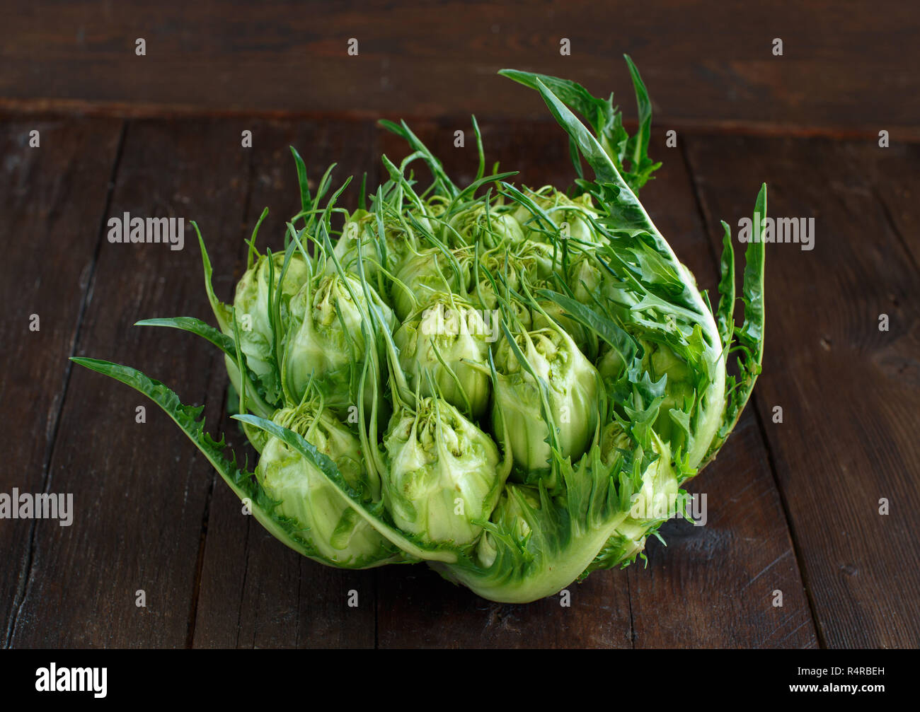 Catalogna chicory hi-res stock photography and images - Alamy