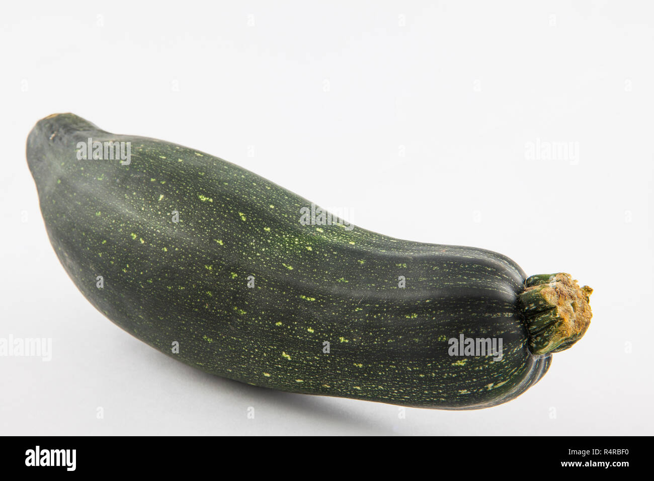 Zucchini (Cucurbita pepo Stock Photo - Alamy