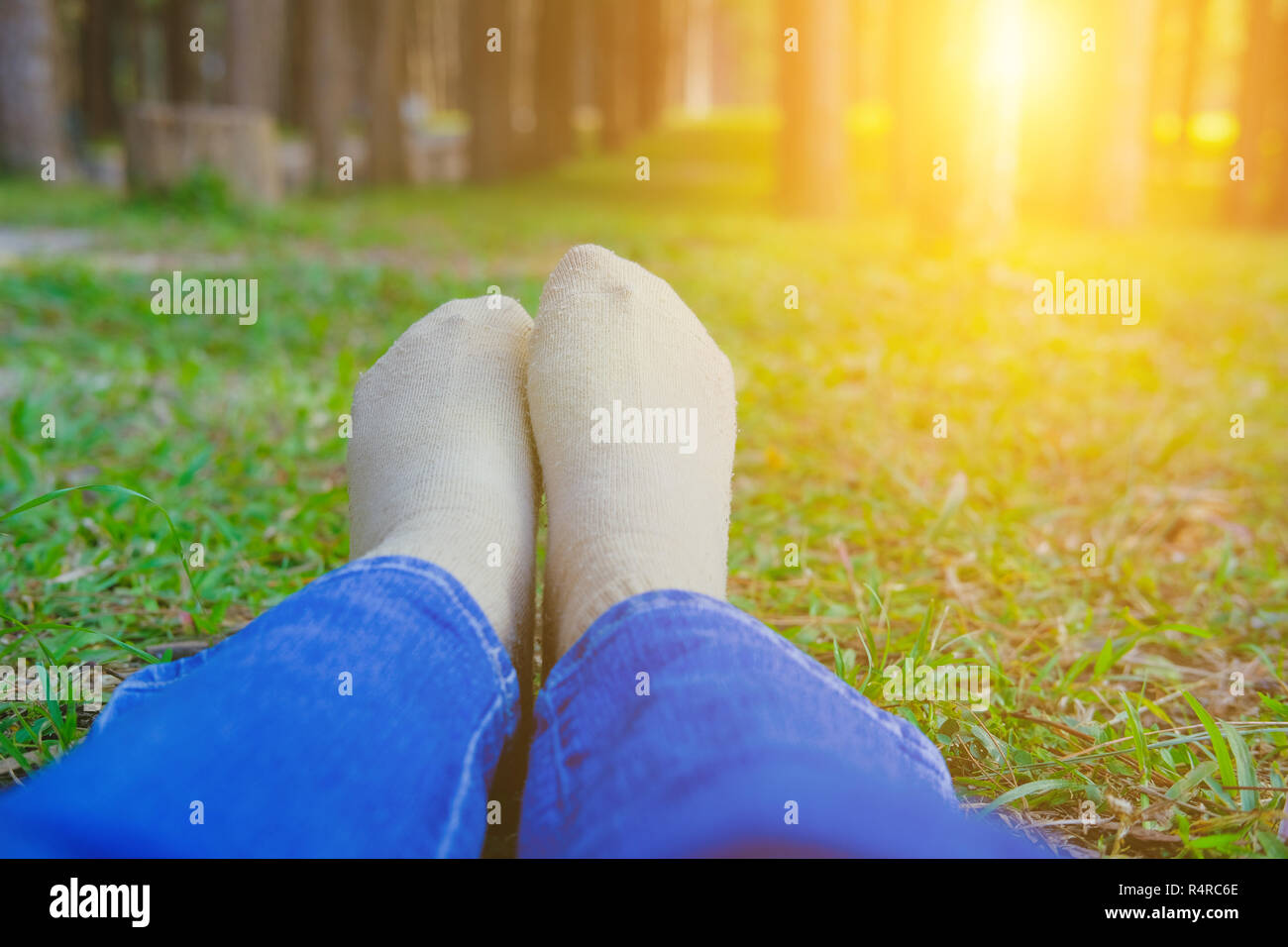 feet lying resting on green grass in pine tree forest. leg wearing ...