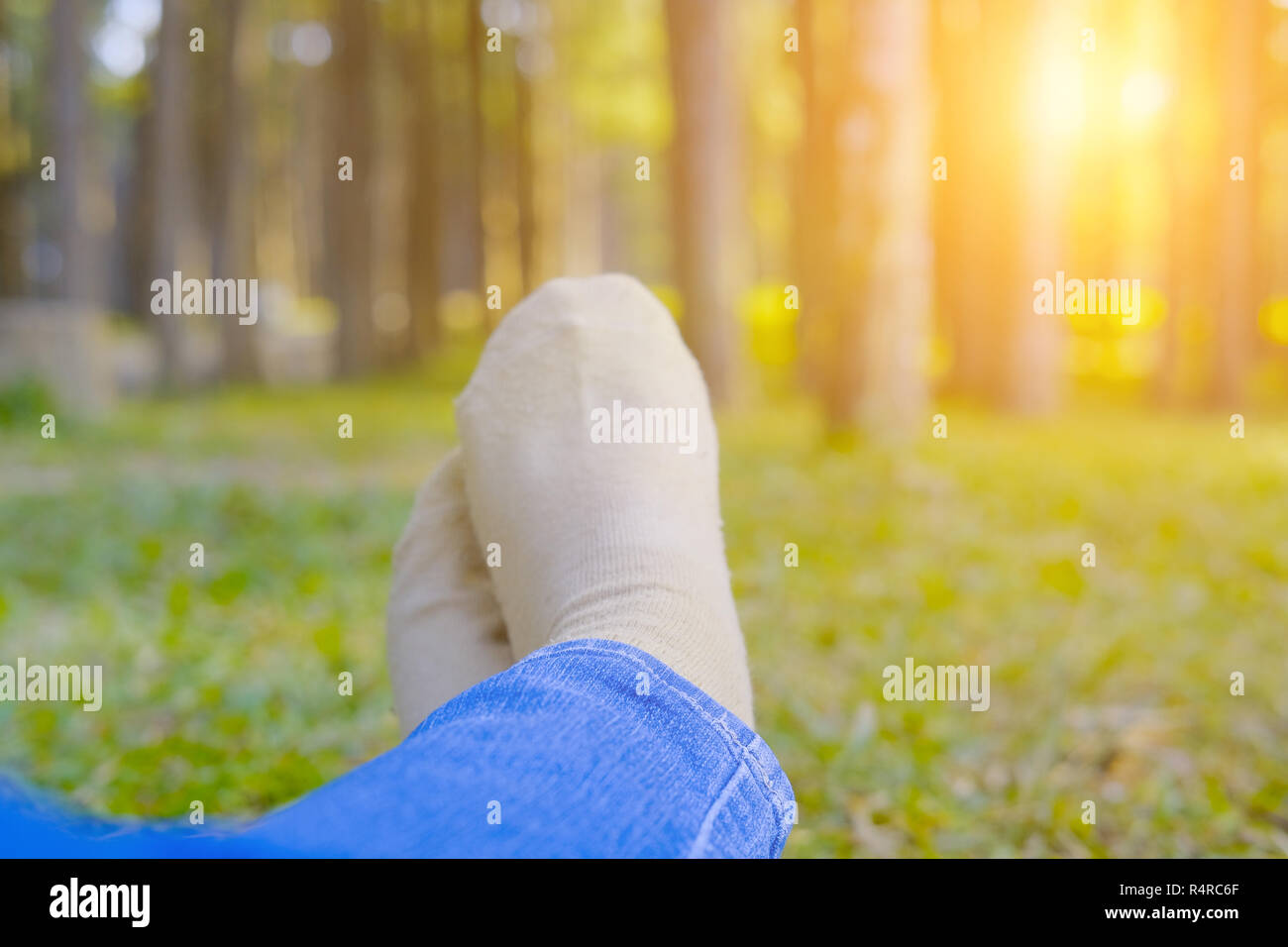 feet lying resting on green grass in pine tree forest. leg wearing ...