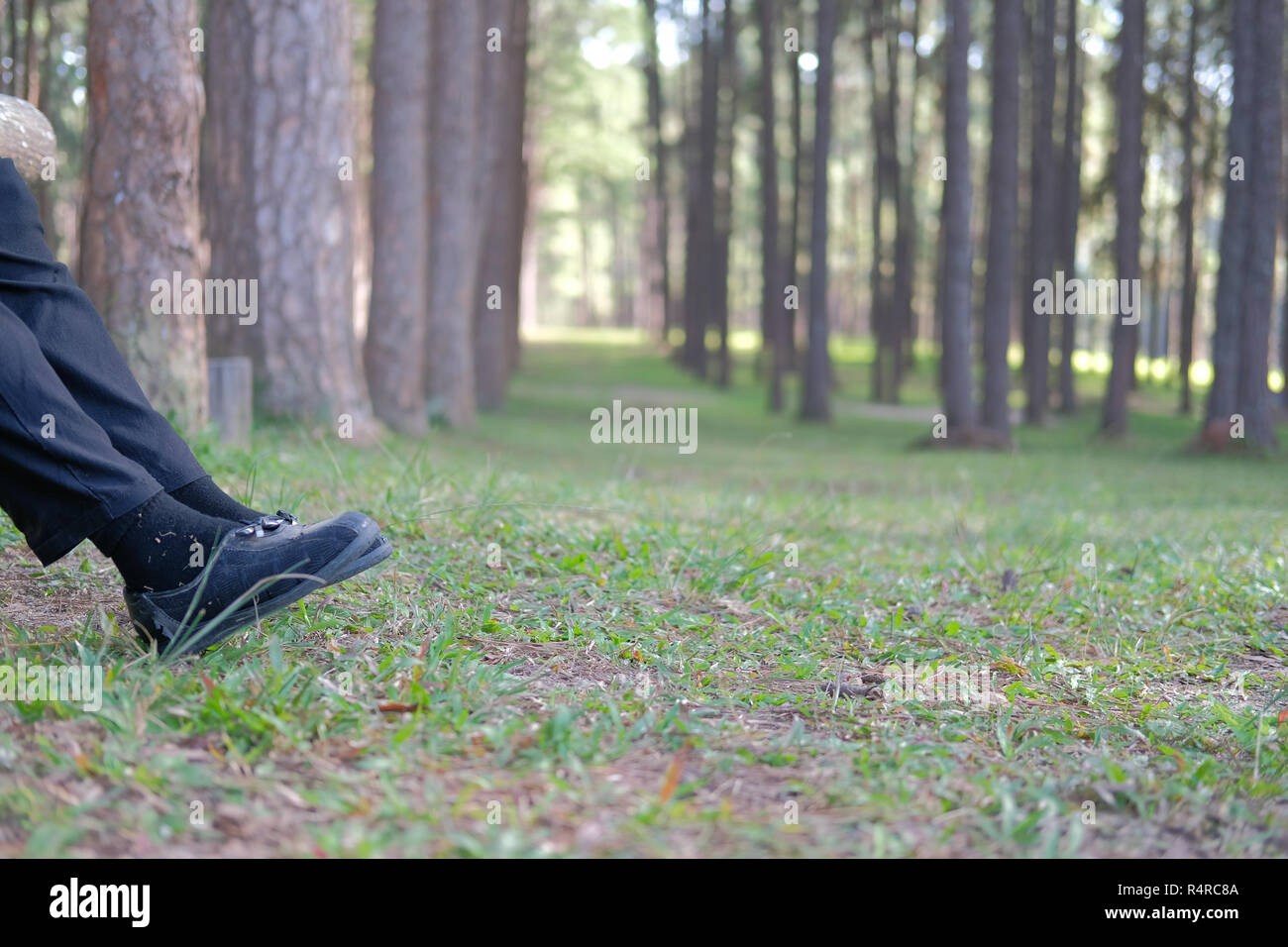 feet resting on green grass in pine tree forest. leisure activity ...