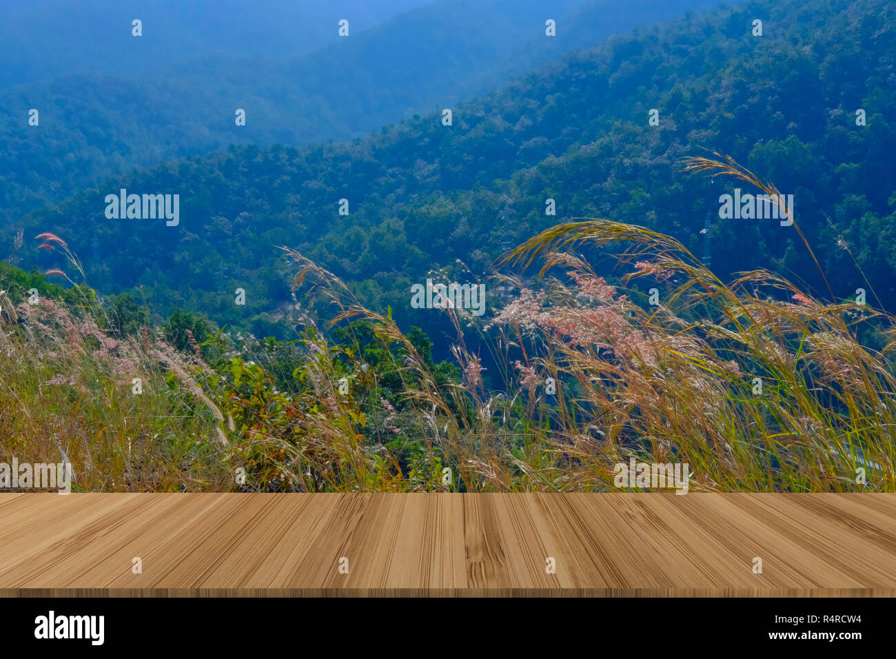forest hill mountain nature summer scenery landscape with wood table ...