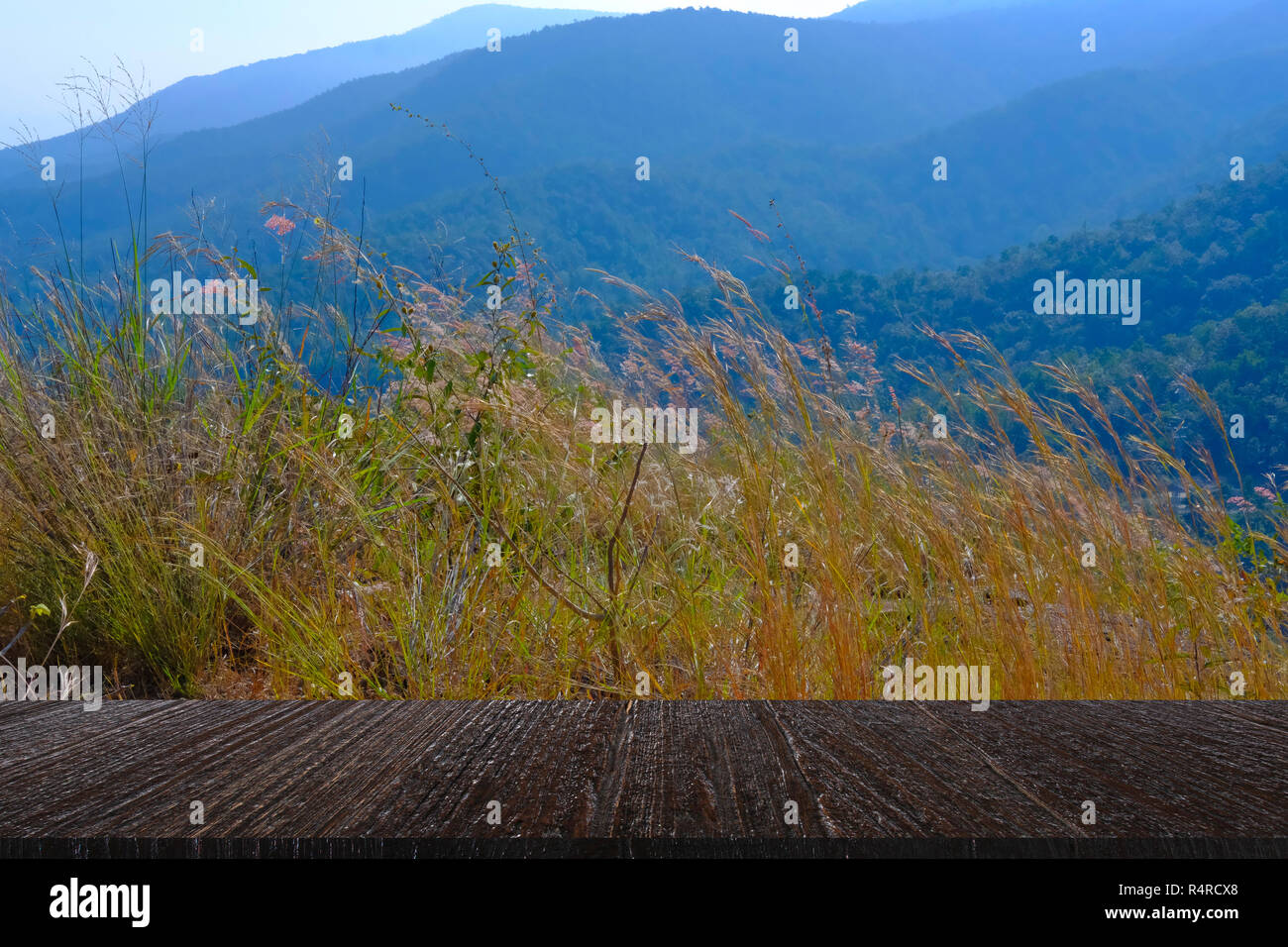 forest hill mountain nature summer scenery landscape with wood table ...