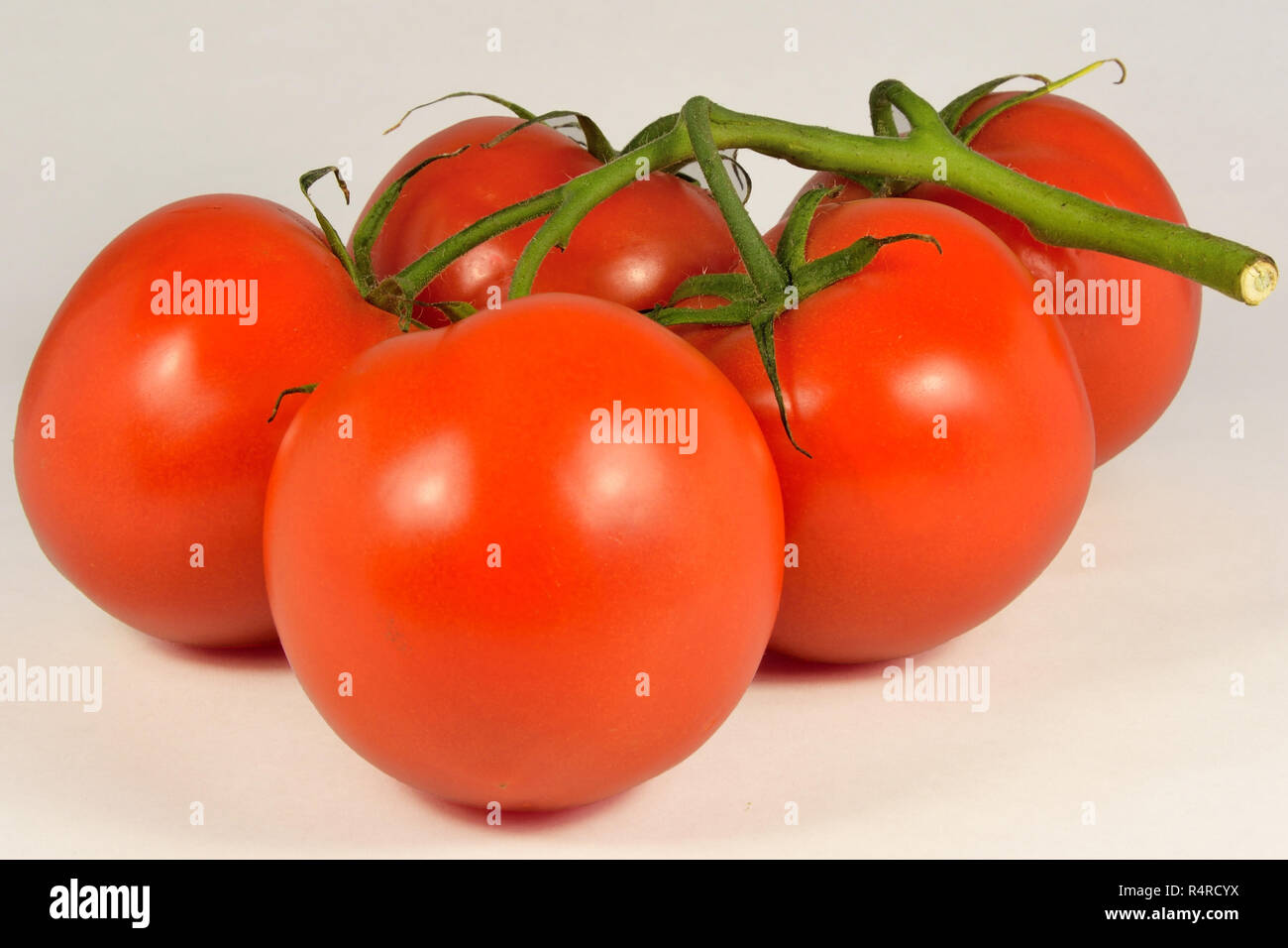 Organic natural tomatoes Stock Photo - Alamy