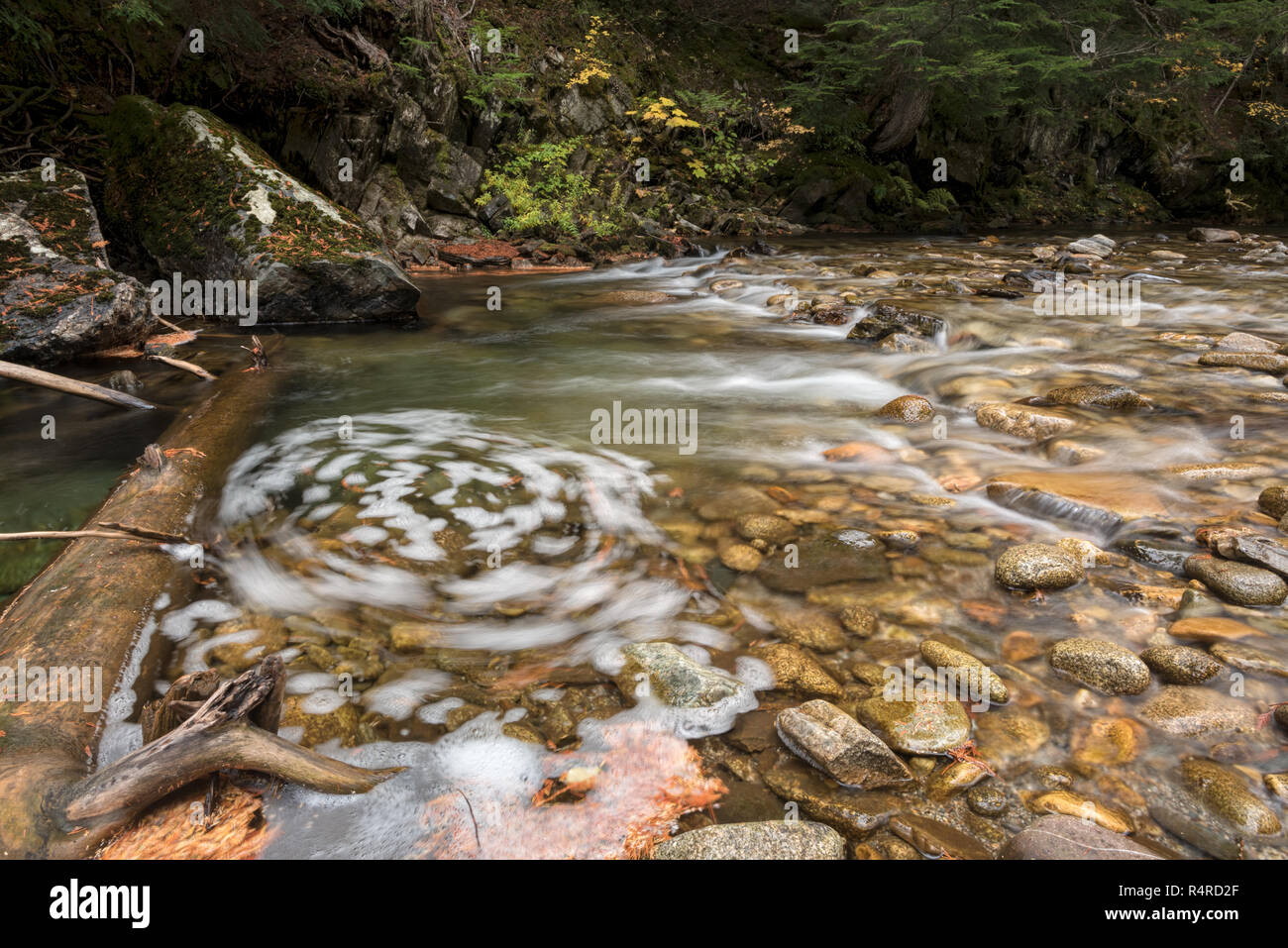 Upper Priest River, Selkirk Mountains, Idaho Stock Photo - Alamy