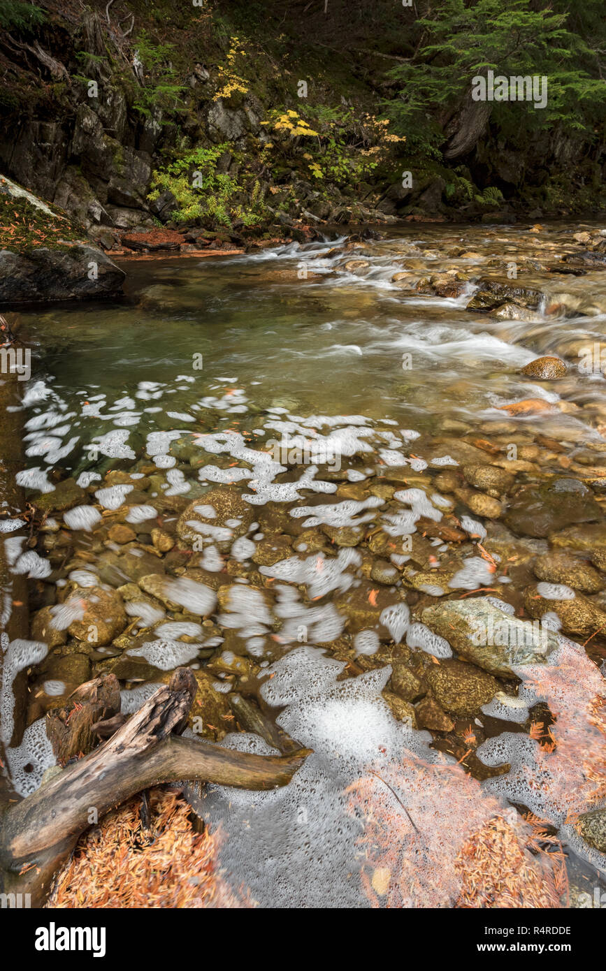 Upper Priest River, Selkirk Mountains, Idaho Stock Photo - Alamy