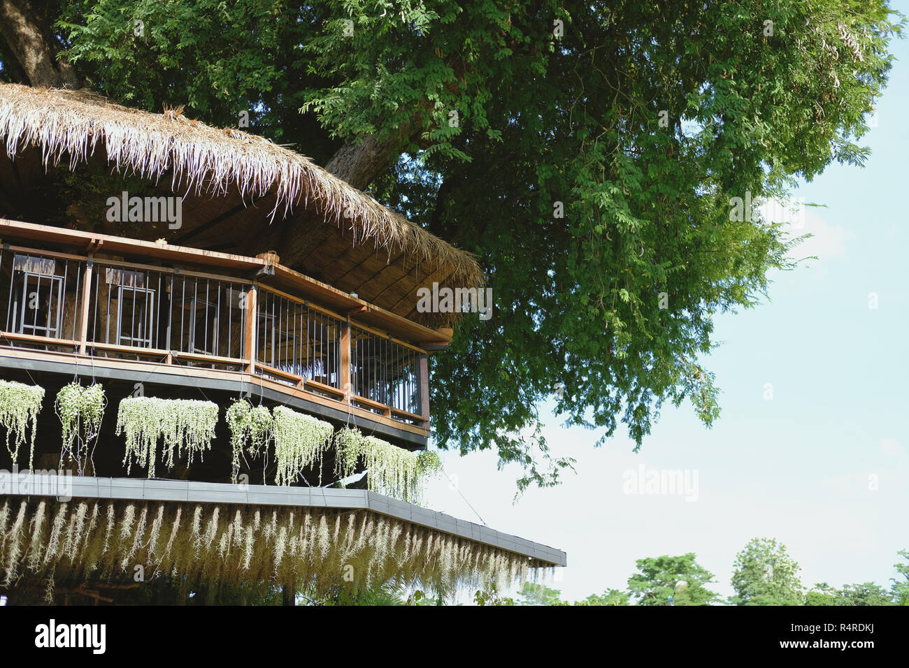 wood hut home house on tamarind tree Stock Photo - Alamy