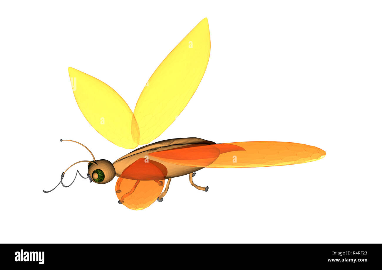 flying insect free Stock Photo - Alamy