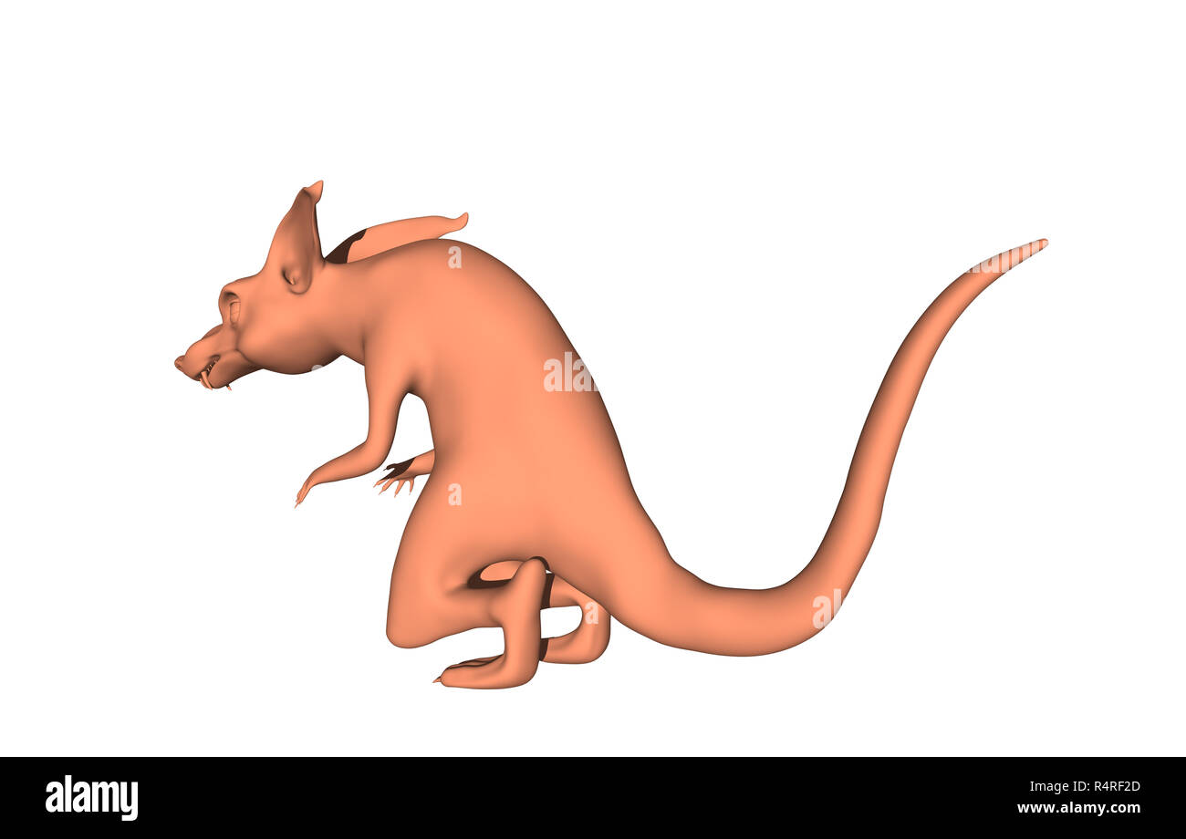 cartoon rat isolated Stock Photo - Alamy