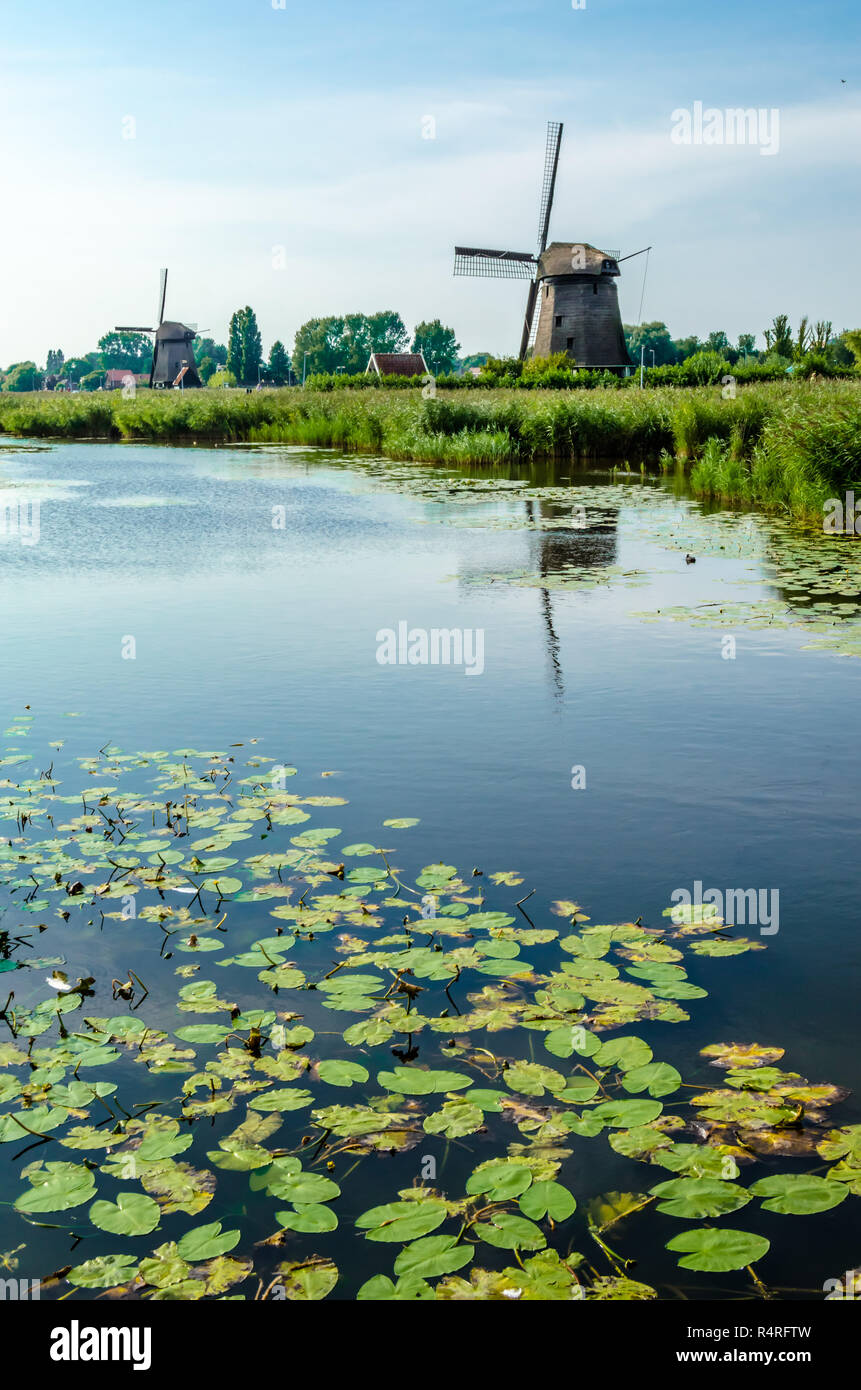 Typical Dutch landscape in Alkmaar, the Netherlands Stock Photo - Alamy