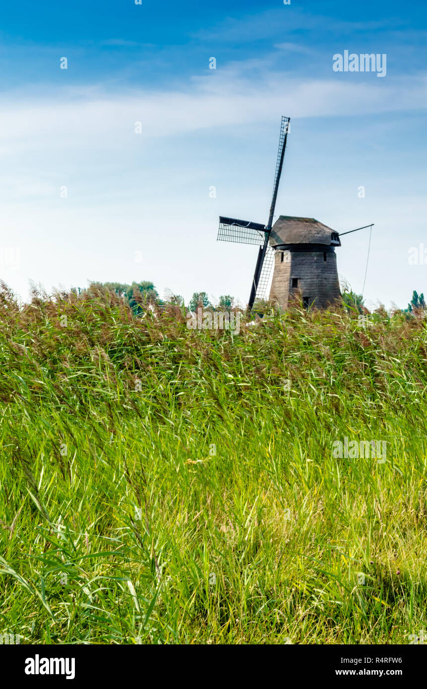 Typical Dutch landscape in Alkmaar, the Netherlands Stock Photo - Alamy