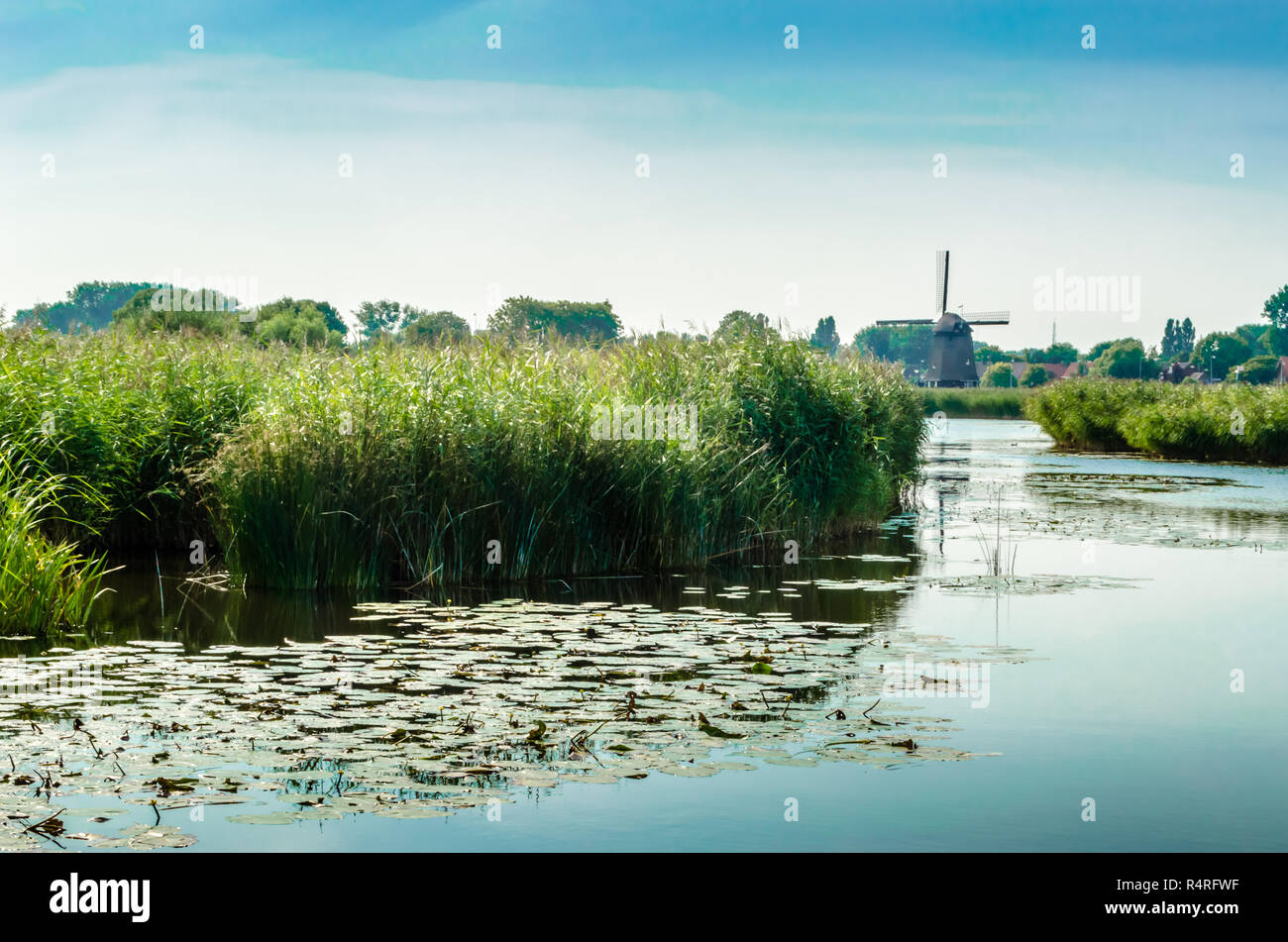 Typical Dutch landscape in Alkmaar, the Netherlands Stock Photo - Alamy