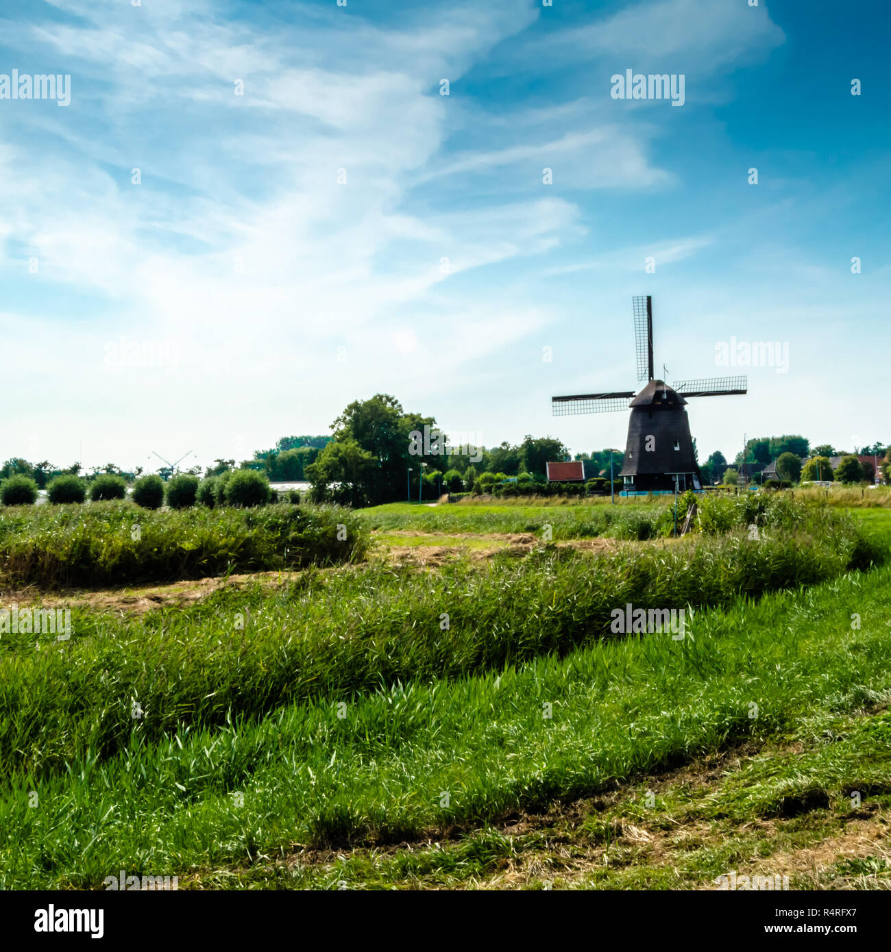 Typical Dutch landscape in Alkmaar, the Netherlands Stock Photo - Alamy