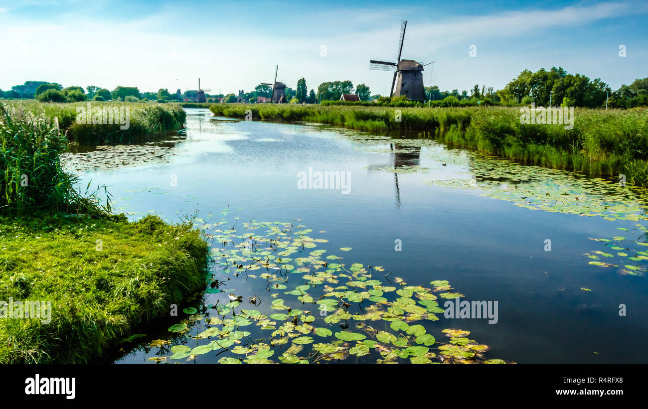 Typical Dutch landscape in Alkmaar, the Netherlands Stock Photo - Alamy