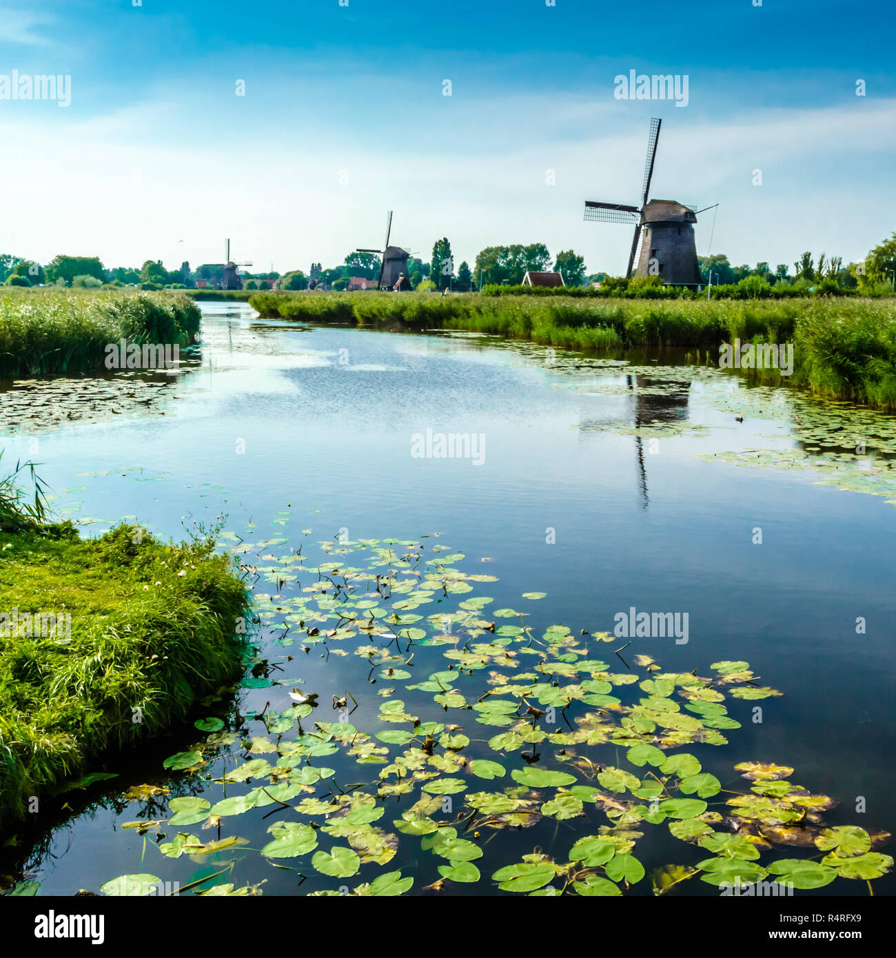 Typical Dutch landscape in Alkmaar, the Netherlands Stock Photo - Alamy