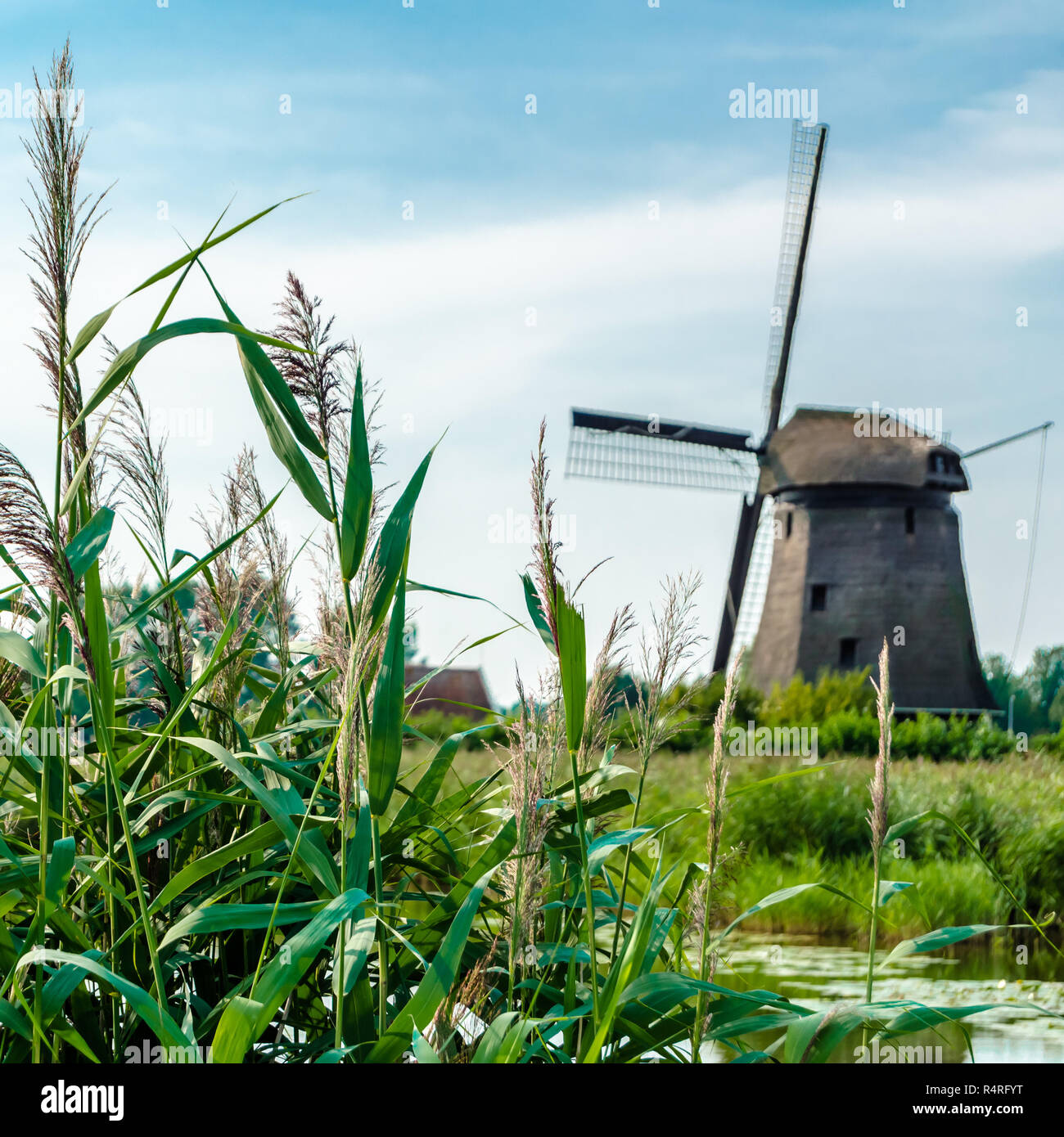 Typical Dutch landscape in Alkmaar, the Netherlands Stock Photo - Alamy