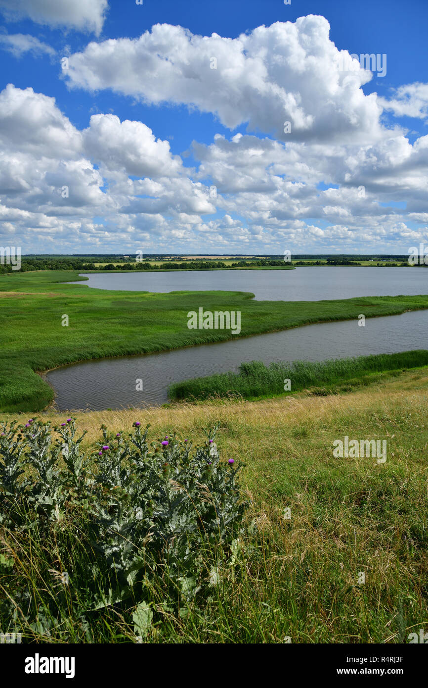 Beautiful summer countryside landscape with a lake Stock Photo - Alamy
