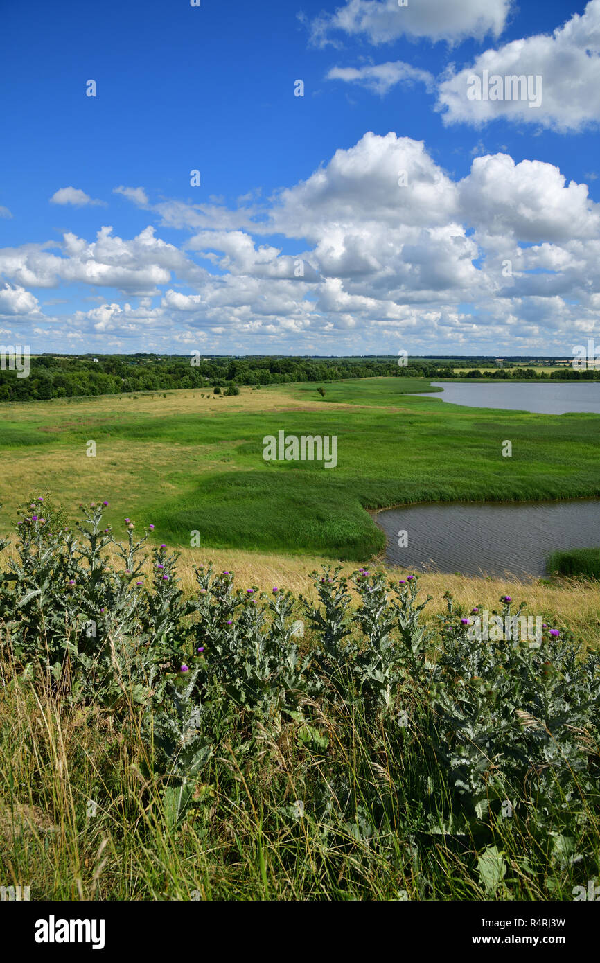 Beautiful summer countryside landscape with a lake Stock Photo - Alamy