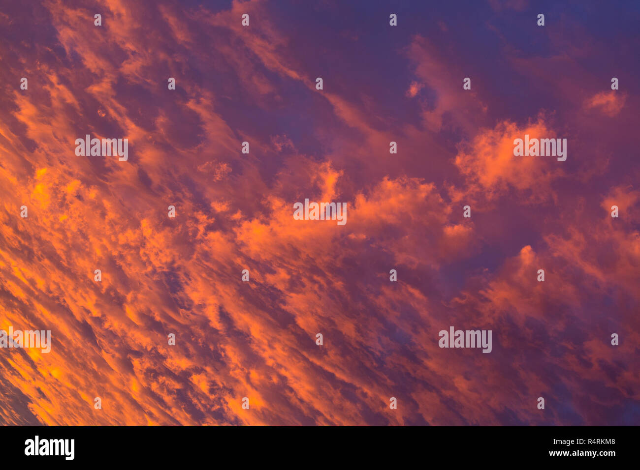 Dramatic Sunset Montrose Scotland uk Stock Photo - Alamy