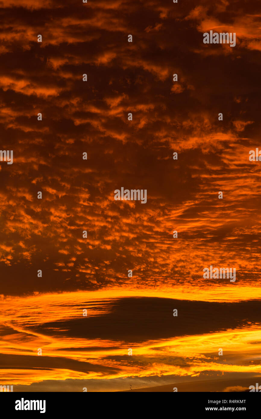 Sunset Montrose Scotland uk Stock Photo - Alamy