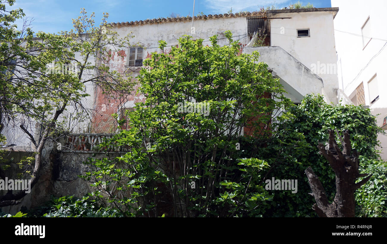 Rotten building hi-res stock photography and images - Alamy