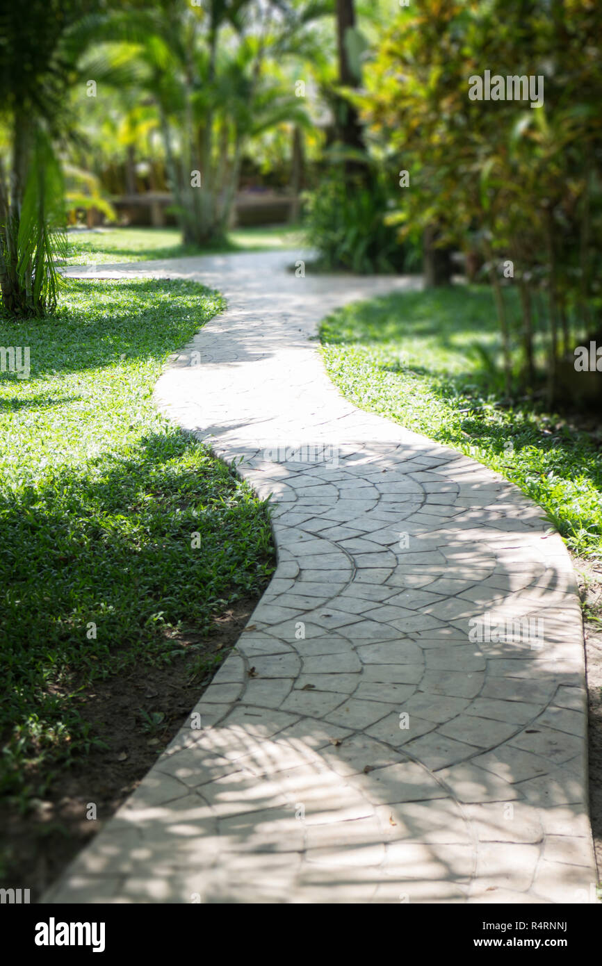 Green Garden Pathway In Summer Stock Photo - Alamy
