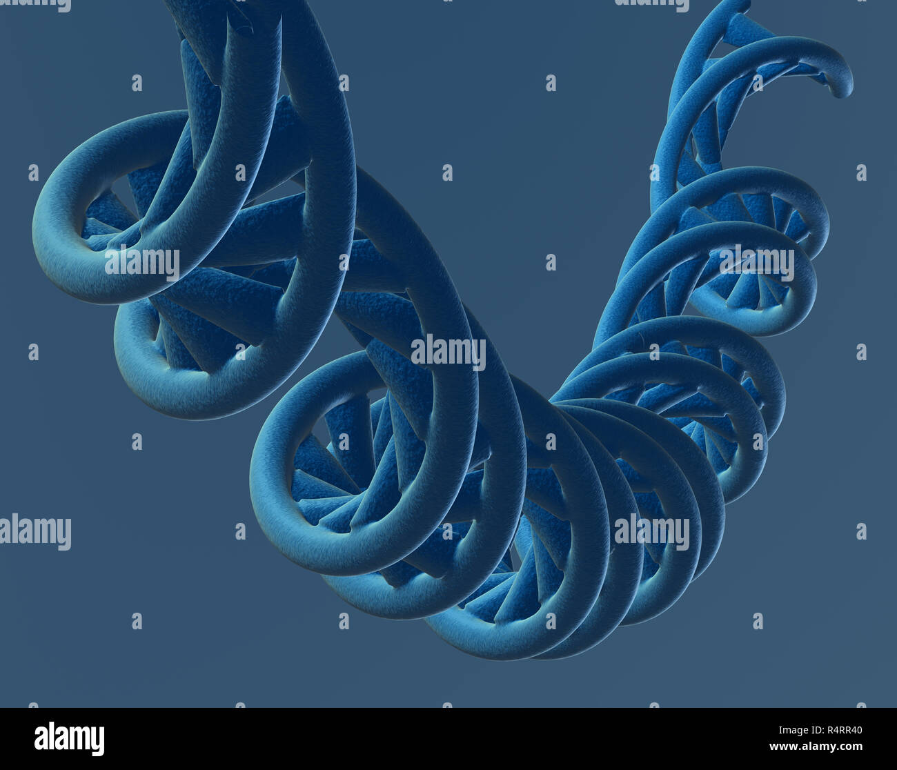 genetic material in the cell Stock Photo - Alamy