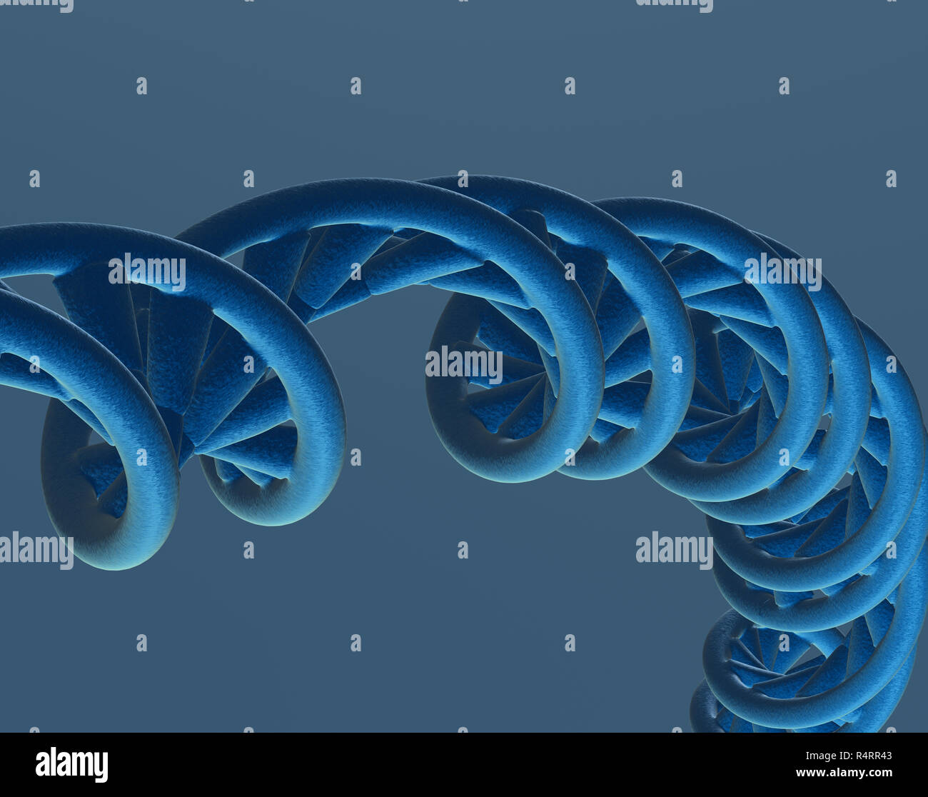 genetic material in the cell Stock Photo - Alamy