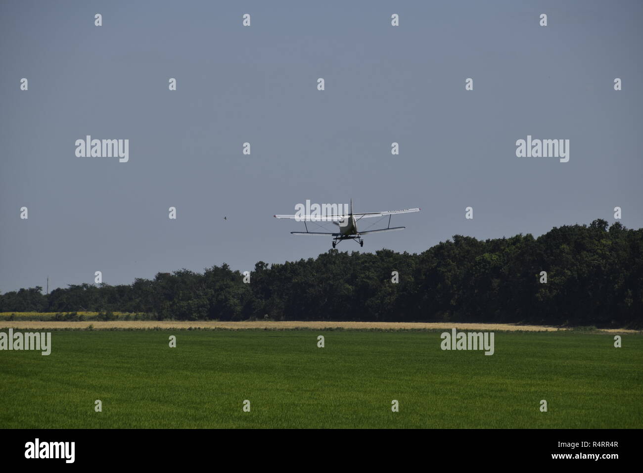Landing on the field for filling fertilizers An-2 Stock Photo - Alamy