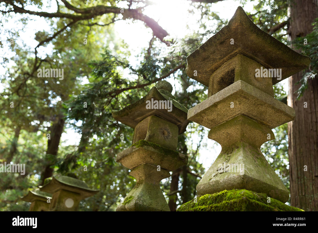 Japanese temple and lantern Stock Photo - Alamy