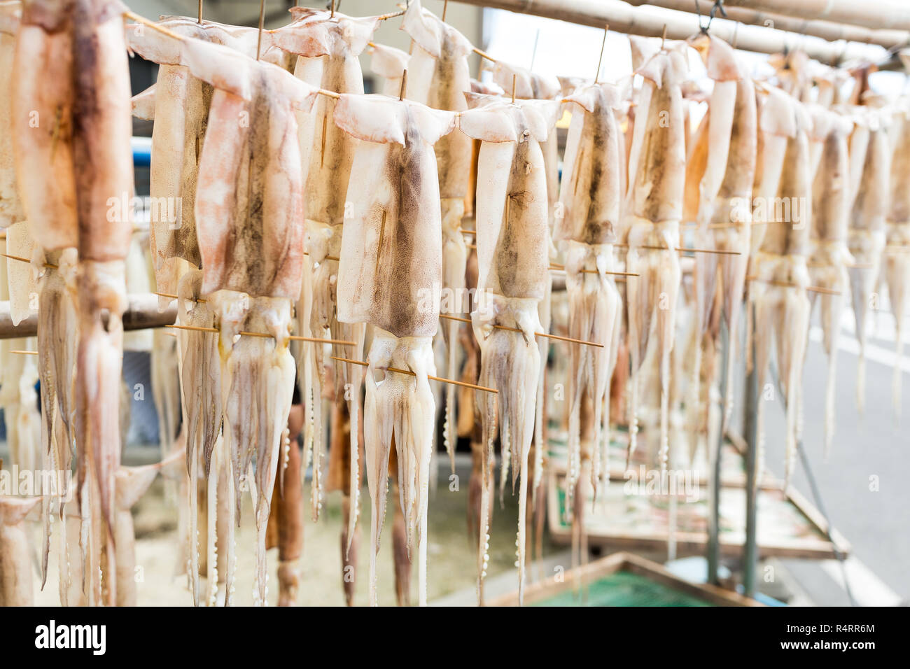 Dry squid hanging at outdoor Stock Photo - Alamy