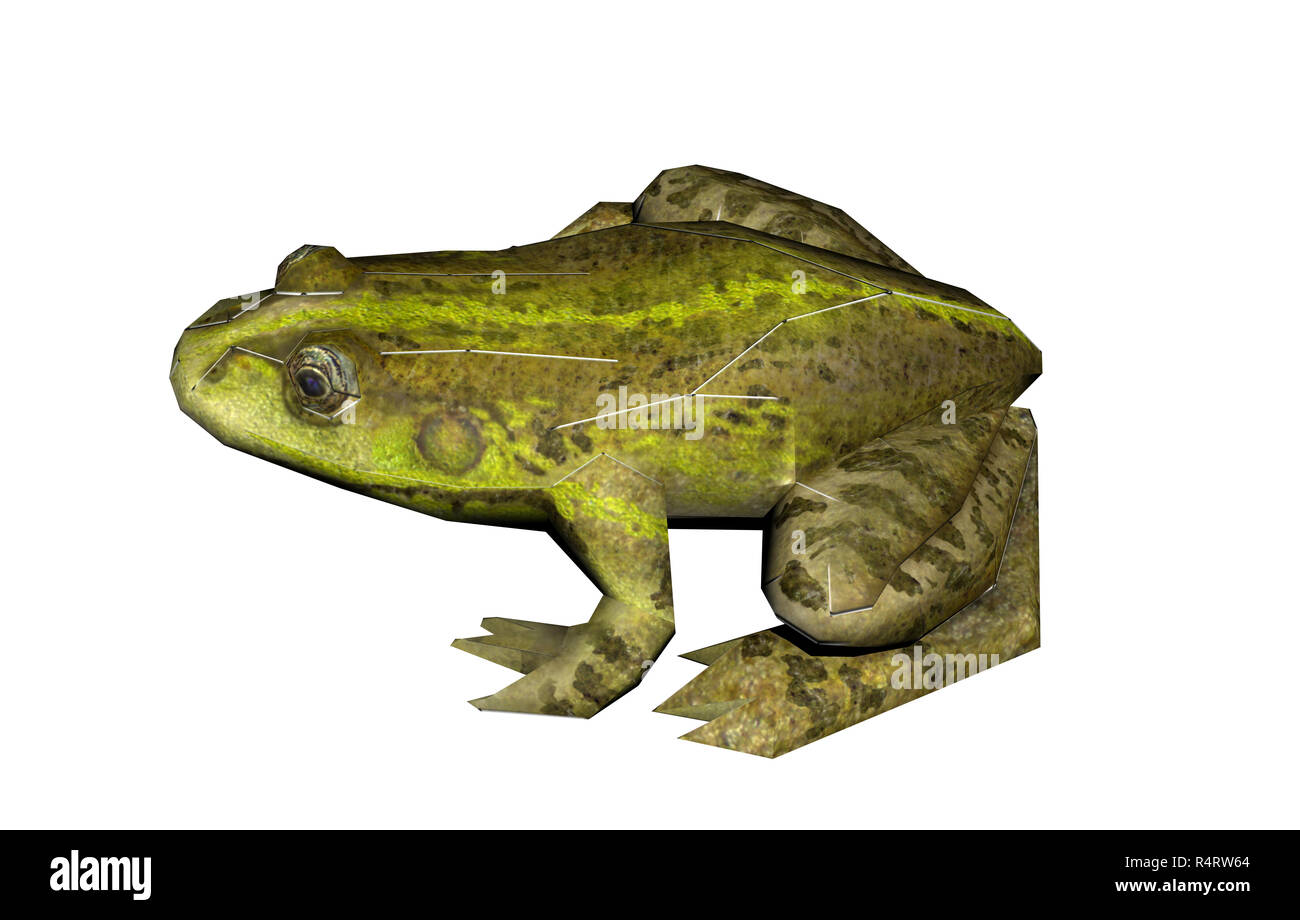 common frog free Stock Photo - Alamy