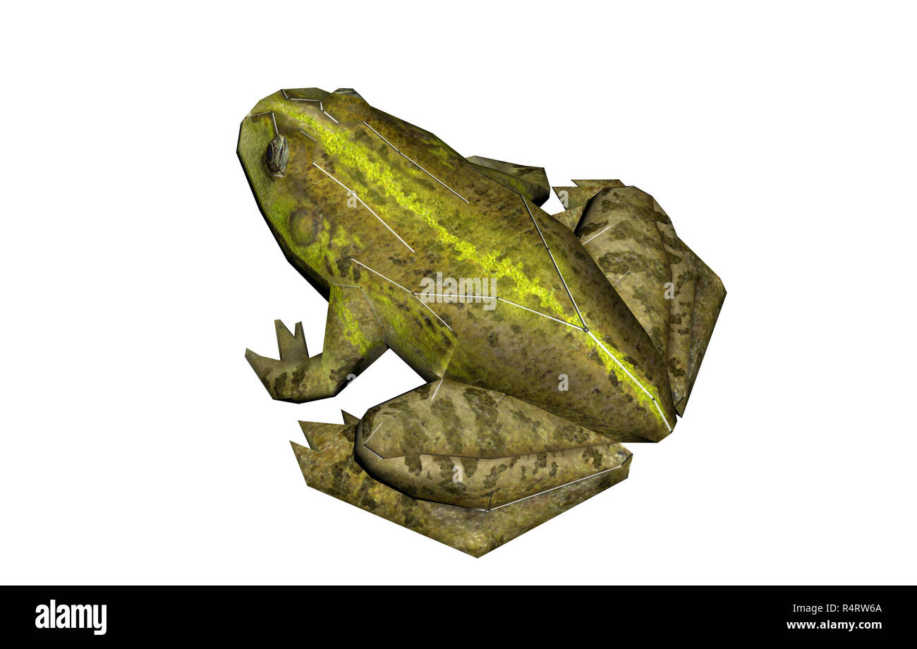 common frog free Stock Photo - Alamy