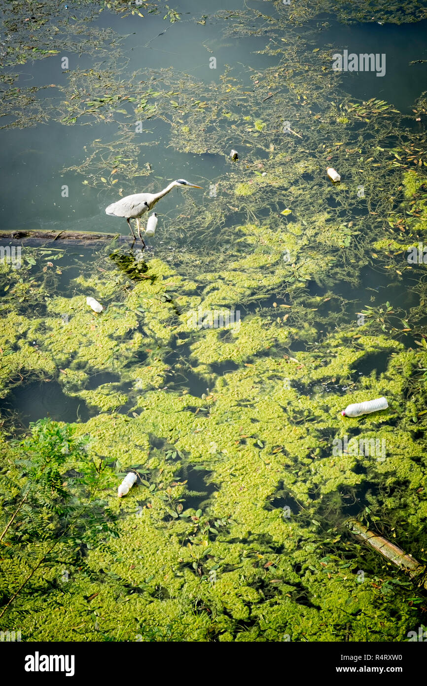 Italy pollution building hi-res stock photography and images - Alamy