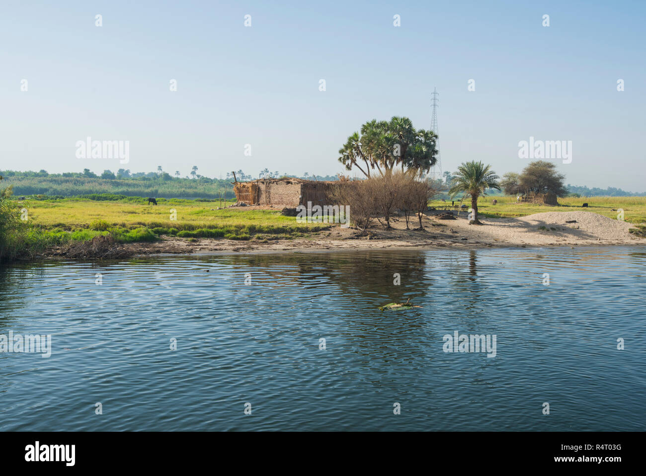Nature of egypt hi-res stock photography and images - Alamy