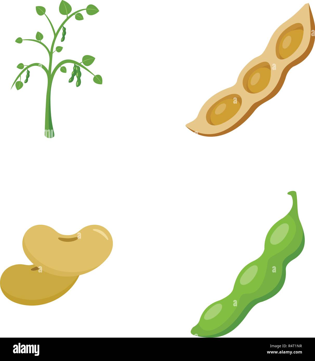Soybean soy beans seed icons set. Flat illustration of 4 soybean soy ...