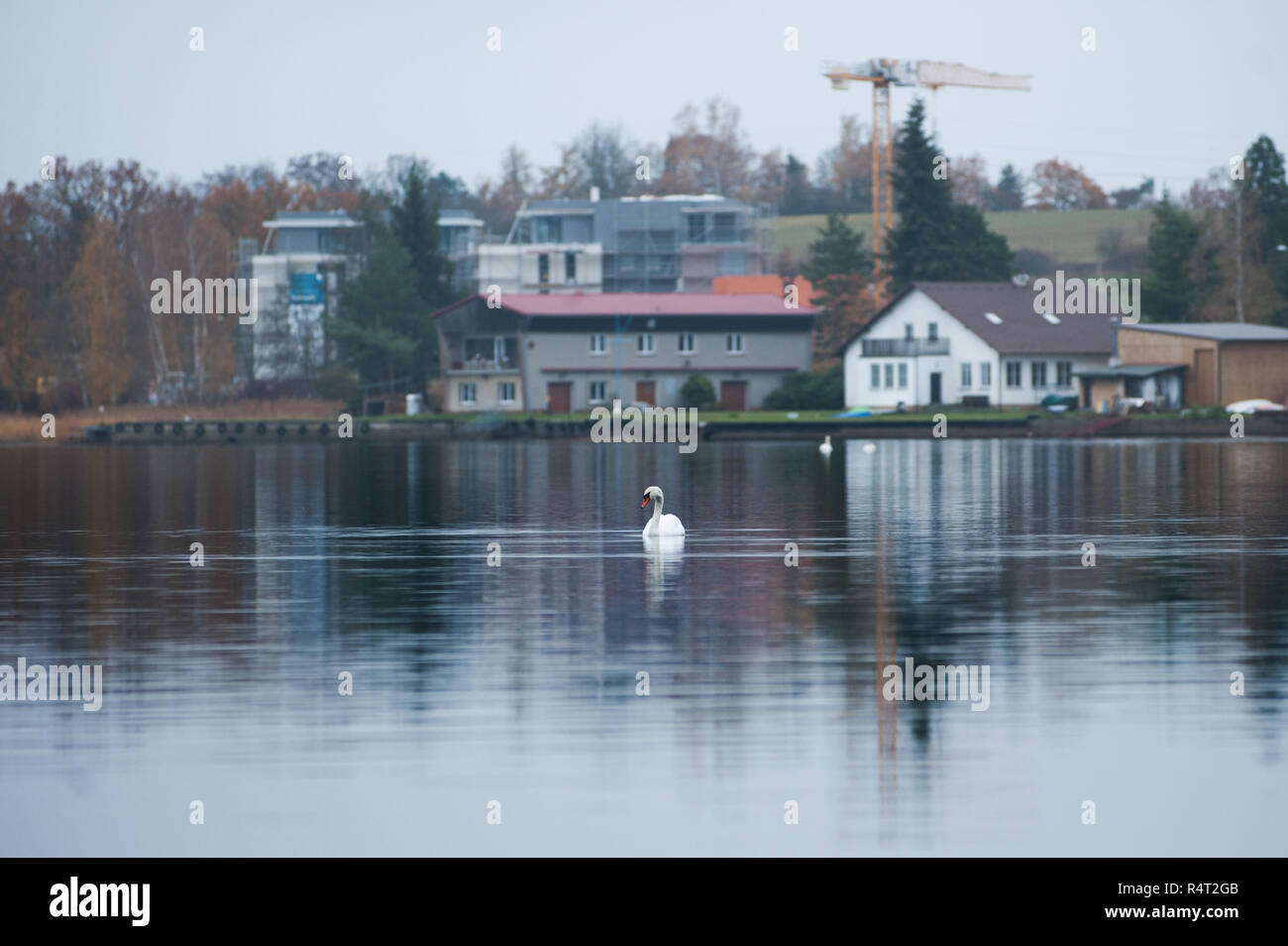 White swan building hi-res stock photography and images - Alamy