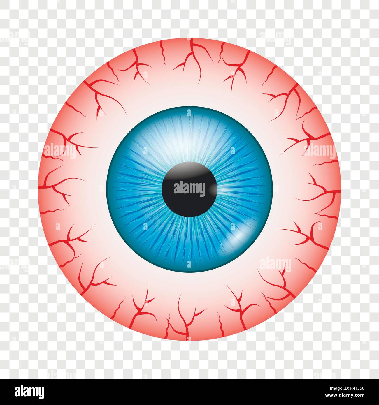 Eyes Vector Realistic